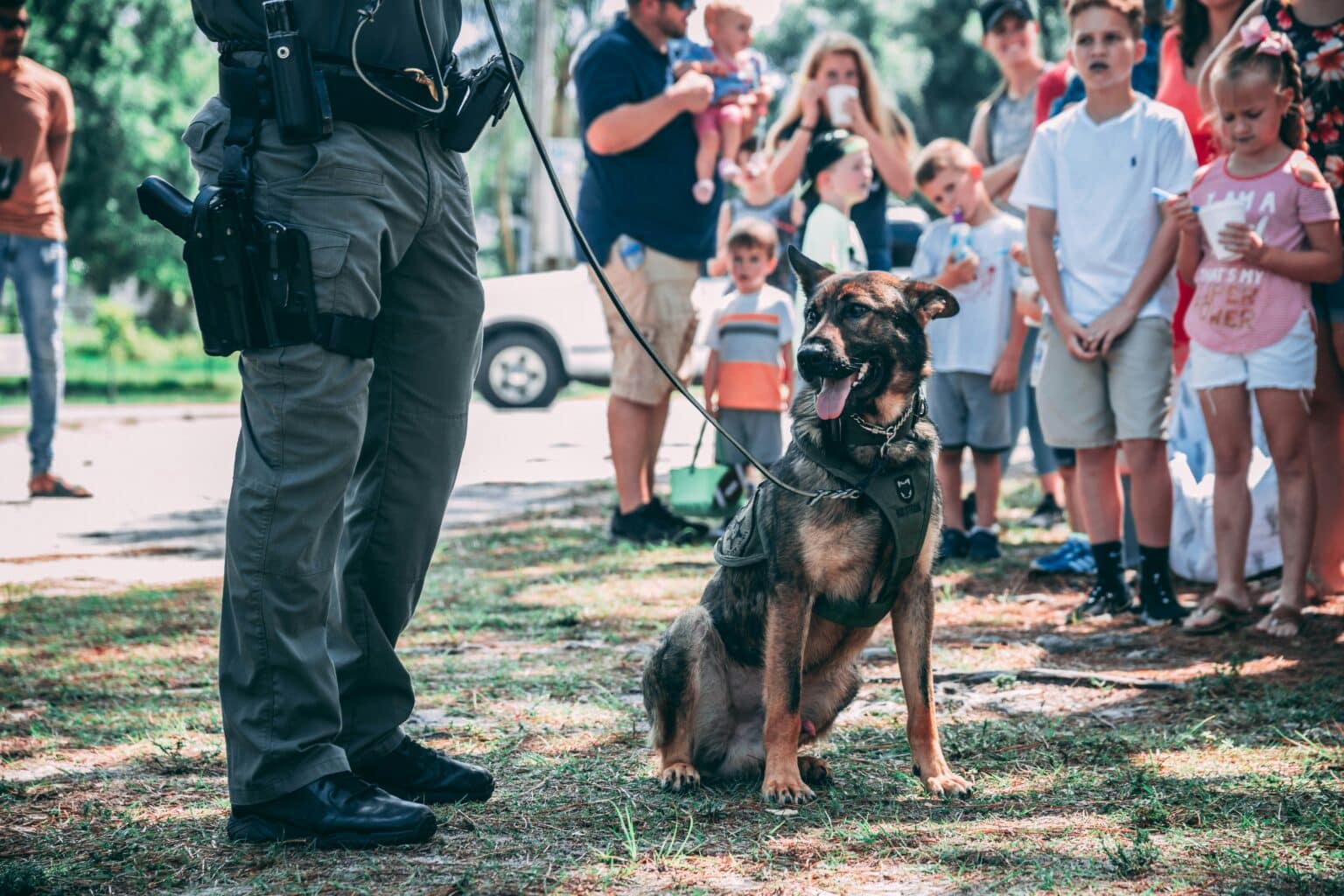 Our Nation’s Quiet Heroes: A Brief History of Police Dogs - Sidewalk Dog