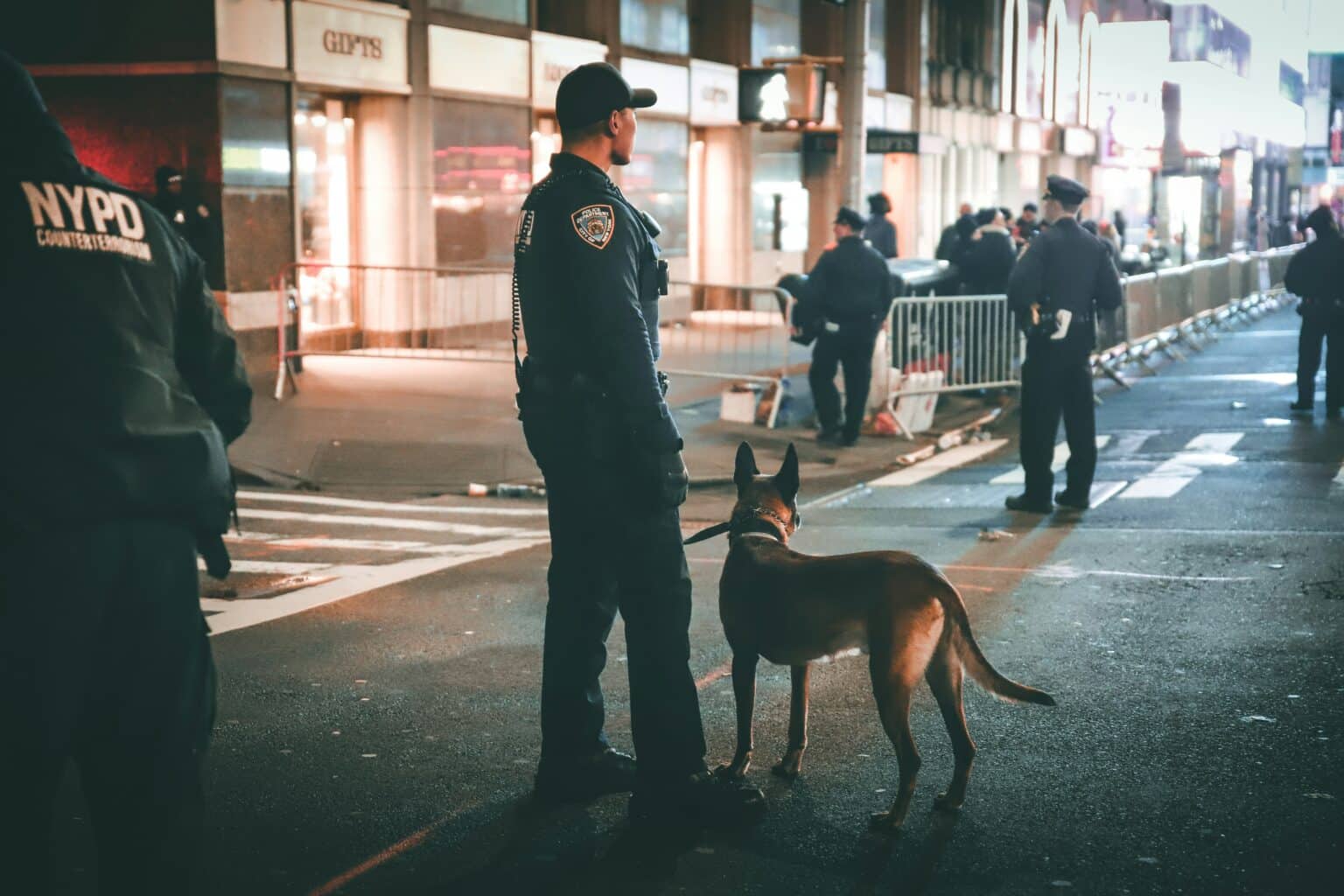 Our Nation’s Quiet Heroes: A Brief History of Police Dogs - Sidewalk Dog